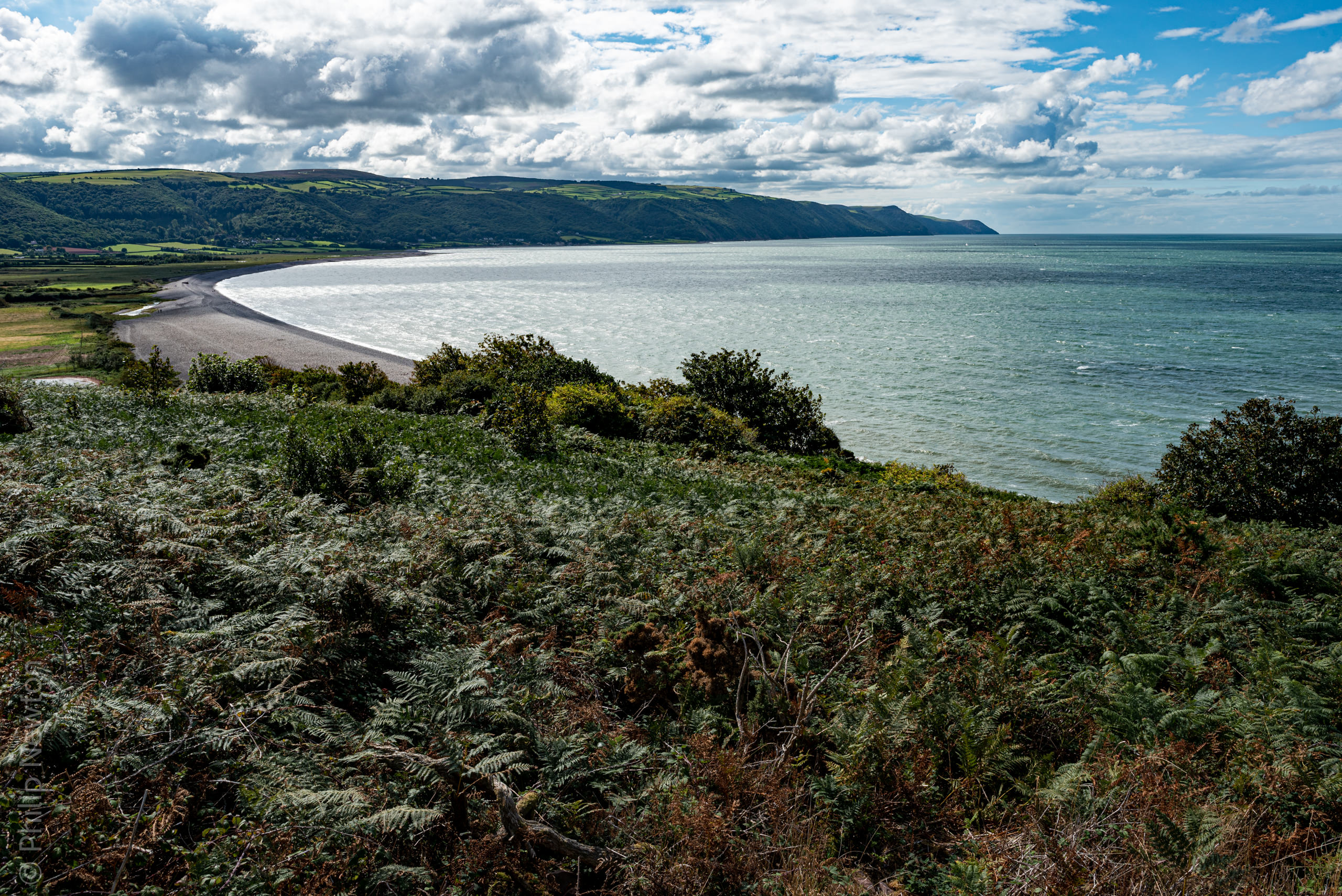 Porlock Bay - Philip Newton