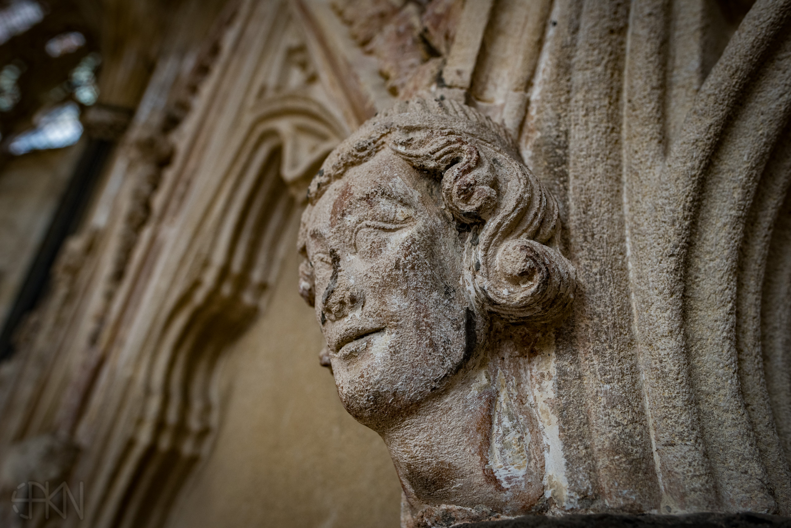 Wells Cathedral Chapter House - Philip Newton