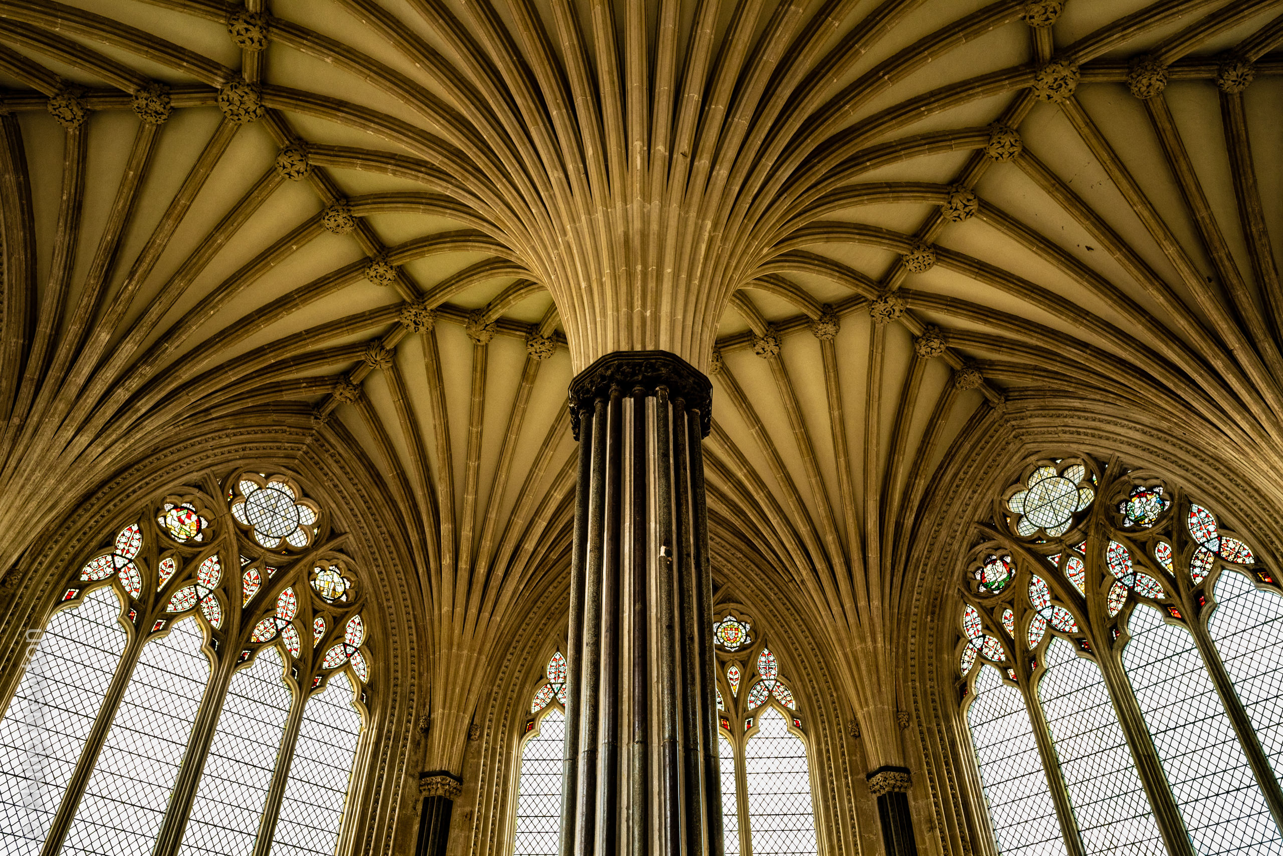 Wells Cathedral Chapter House - Philip Newton